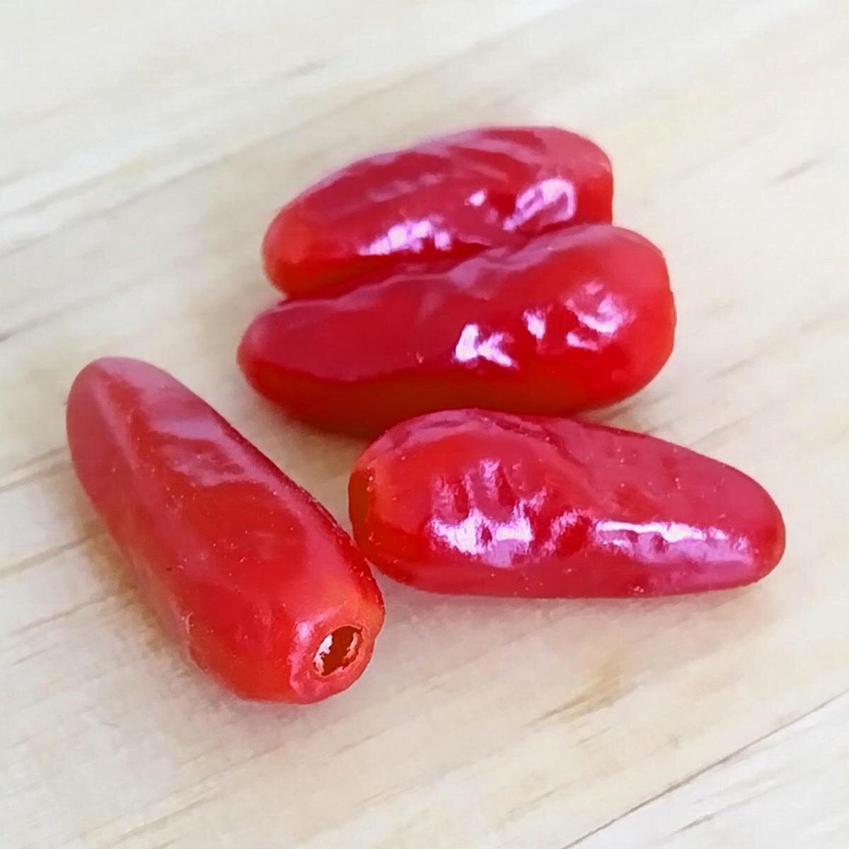 Wildchili 'Chacoense' (Capsicum chacoense) Samen